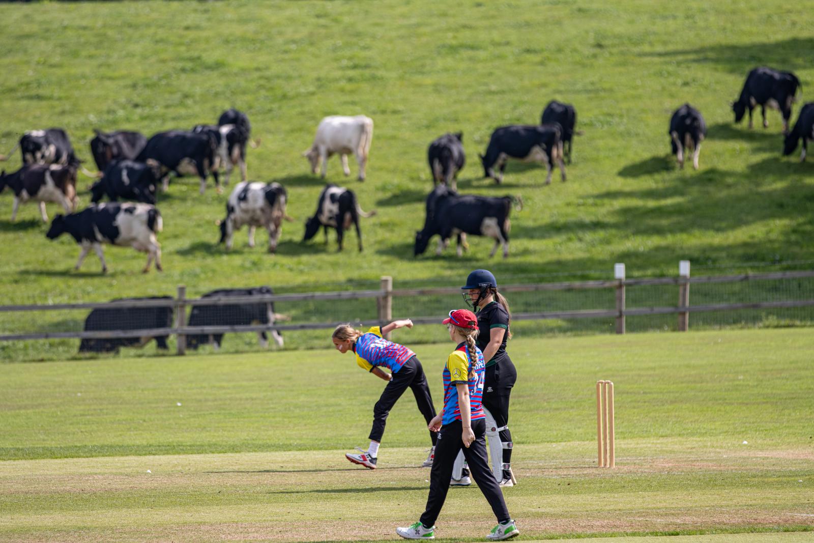 Devon Cricket Board Becomes Foundation - Devon Cricket